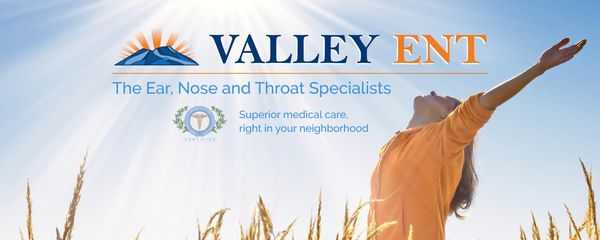 VALLEY ENT - Updated December 2025 - 79 Reviews - 2081 W Frye Rd ...