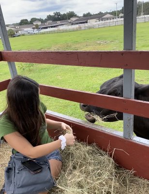 UNCLE DONALD’S FARM - Updated October 2025 - 17 Photos & 12 Reviews ...