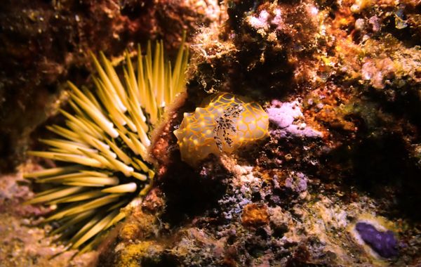 THREE TABLES BEACH - Updated July 2024 - 330 Photos & 30 Reviews - 59 ...