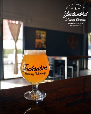 JACKRABBIT BREWING COMPANY - 330 Photos & 147 Reviews - 1323 Terminal ...