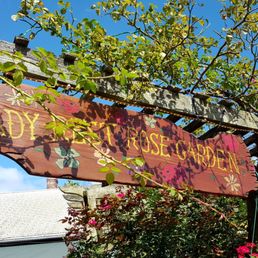 SHADY REST RESTAURANT - Updated December 2025 - 99 Photos & 164 Reviews ...