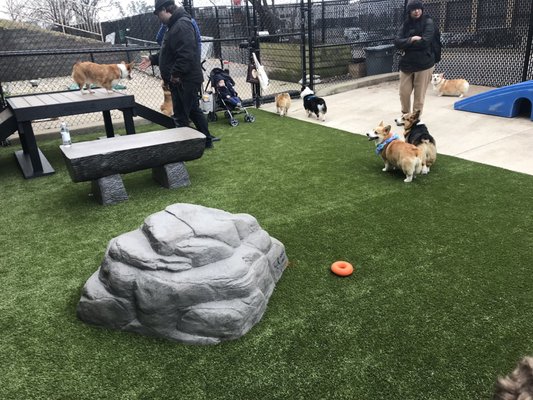 OLDE TOWNE PET RESORT - Updated October 2025 - 131 Photos & 214 Reviews ...