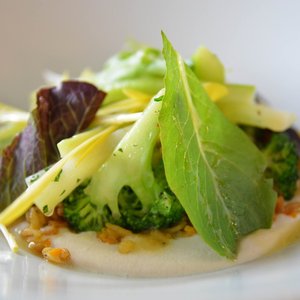 ANDORA - 86 Photos & 200 Reviews - 1616 Mount Nebo Rd, Sewickley ...