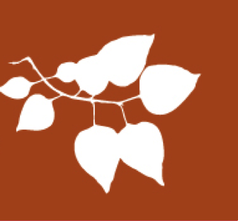 LISA HOWLEY YOGA - Updated July 2025 - Request Information - Portland ...