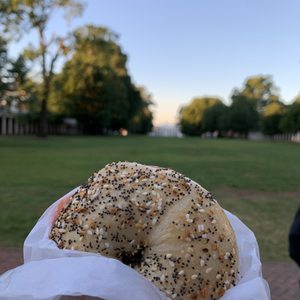 BODO’S BAGELS - 163 Photos & 355 Reviews - 1609 University Ave ...