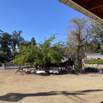 COVER’S APPLE RANCH - Updated February 2025 - 175 Photos & 283 Reviews ...