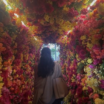 PHD ROOFTOP LOUNGE AT DREAM DOWNTOWN - Updated June 2025 - 289 Photos ...