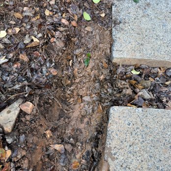 ARROW WASTE with photos - Updated August 2024 - 21 Photos & 26 Reviews ...