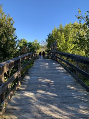 EMERSON POINT PARK - 197 Photos & 33 Reviews - 5801 17th St W, Palmetto ...