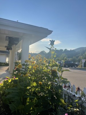 DAN’L BOONE INN - 204 Photos & 269 Reviews - 130 Hardin St, Boone ...