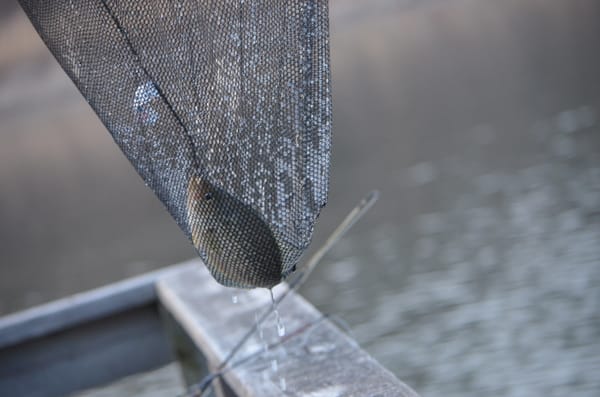 OAK RIDGE PRAIRIE COUNTY PARK - Updated September 2025 - 27 Photos ...