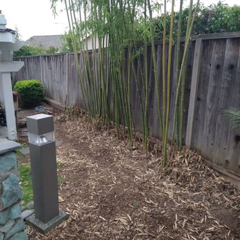 NOR-CAL TREE & STUMP SERVICE - Updated October 2025 - 10 Photos & 11 ...