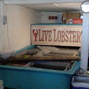 RYE HARBOR LOBSTER POUND - 180 Photos & 124 Reviews - 1870 Ocean Blvd ...