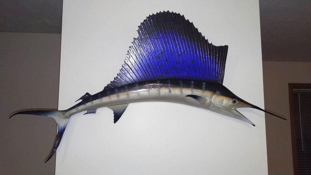 ROD AND REAL FISH TAXIDERMY - Updated May 2024 - 10 Photos - Kentwood ...