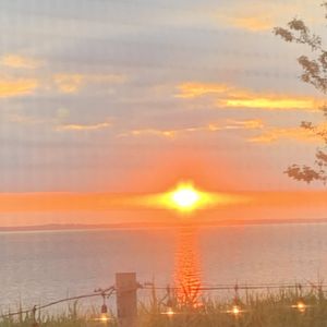 THE BLUE POINT - 463 Photos & 521 Reviews - American (New) - 1240 Duck ...