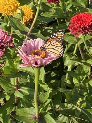 ROUGH CUT BBQ - Updated August 2025 - 38 Photos & 27 Reviews - 438 ...