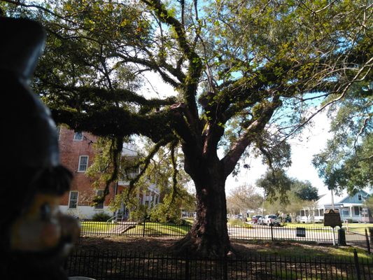 EVANGELINE OAK PARK - Updated May 2025 - 51 Photos & 10 Reviews - 122 ...