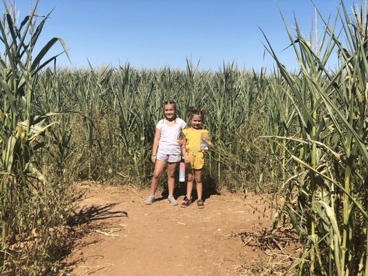 VERTUCCIO FARMS FALL FESTIVAL - Updated December 2025 - 31 Photos & 16 ...