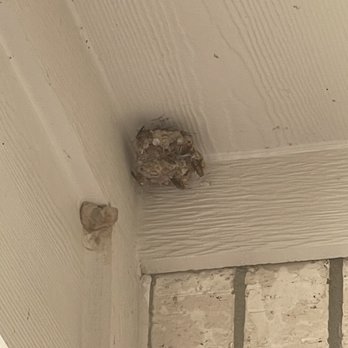 TRUFORCE PEST CONTROL - Updated December 2025 - 36 Photos & 51 Reviews ...