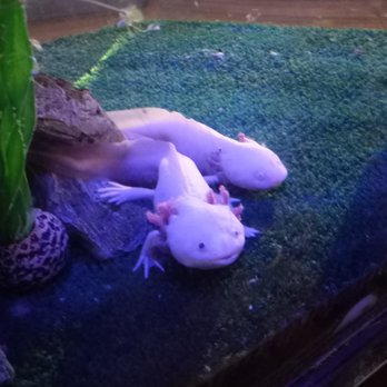 AQUARIUM & SHARK LAB BY TEAM ECCO - Updated October 2025 - 66 Photos ...