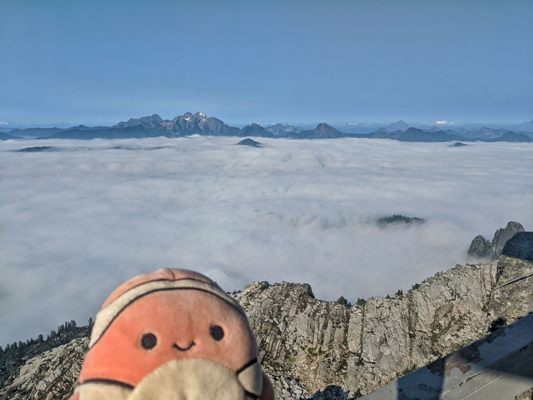 MOUNT PILCHUCK STATE PARK - 70 Photos & 12 Reviews - Hiking - Granite ...