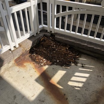 MACY’S - Updated April 2025 - 110 Photos & 46 Reviews - 11901L Fair ...