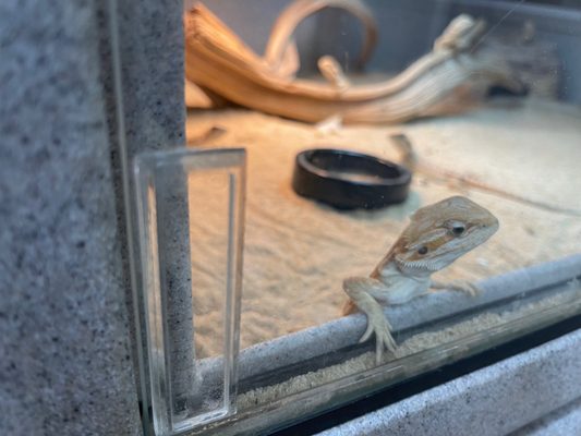 XTREME EXOTICS - Updated December 2025 - 79 Photos & 38 Reviews - 11672 ...