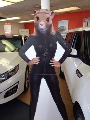 FIRST TEAM KIA - Updated December 2025 - 24 Photos & 37 Reviews - 4834 ...