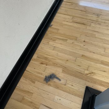 IN-SHAPE FITNESS - Updated December 2025 - 56 Photos & 193 Reviews ...