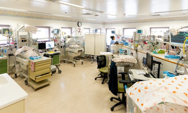 DIGNITY HEALTH - CALIFORNIA HOSPITAL MEDICAL CENTER - Updated May 2025 ...