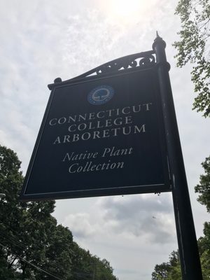 CONNECTICUT COLLEGE ARBORETUM - Updated November 2024 - 45 Photos - 270 ...