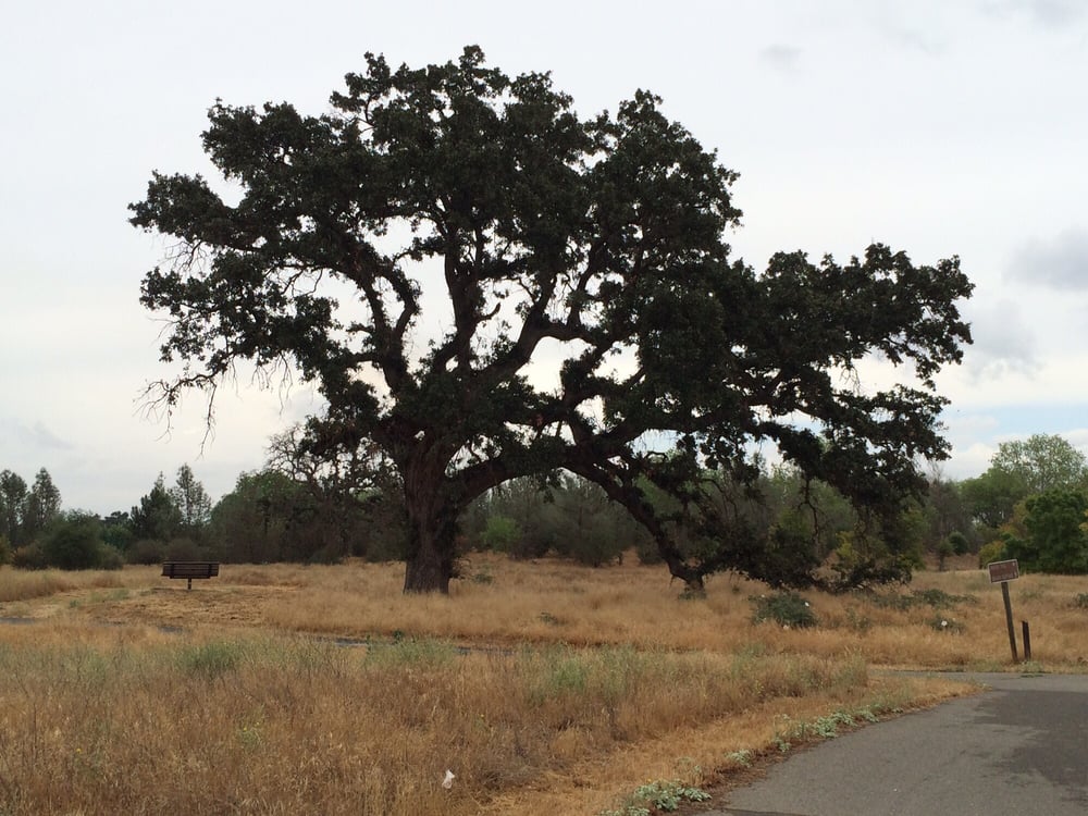 RED BLUFF RECREATION AREA - Red Bluff, California - Campgrounds - Yelp