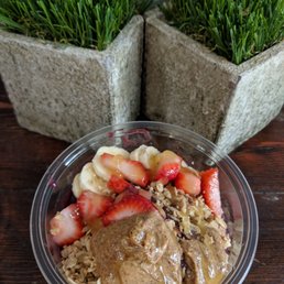 VIBE HEALTH BAR - Updated January 2026 - 537 Photos & 342 Real Reviews ...