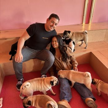 CUPPA PUG - Updated June 2025 - 166 Photos & 62 Reviews - 607 W 9th Ave ...
