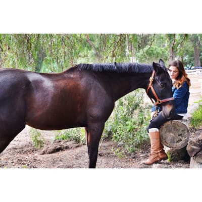 PORTUGUESE BEND RIDING CLUB - 12 Photos & 15 Reviews - 40 Narcissa Dr ...