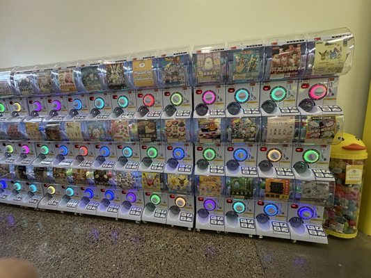 DUCK - Updated June 2025 - 38 Photos & 21 Reviews - 1004 Diffley Rd ...