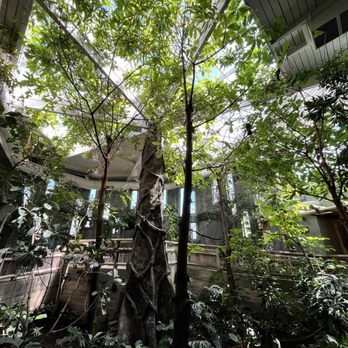 TRACY AVIARY - Updated March 2025 - 529 Photos & 190 Reviews - 589 E ...