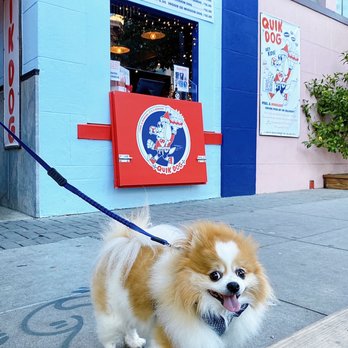 QUIK DOG - Updated October 2025 - 13 Photos - 3010 20th St, San ...