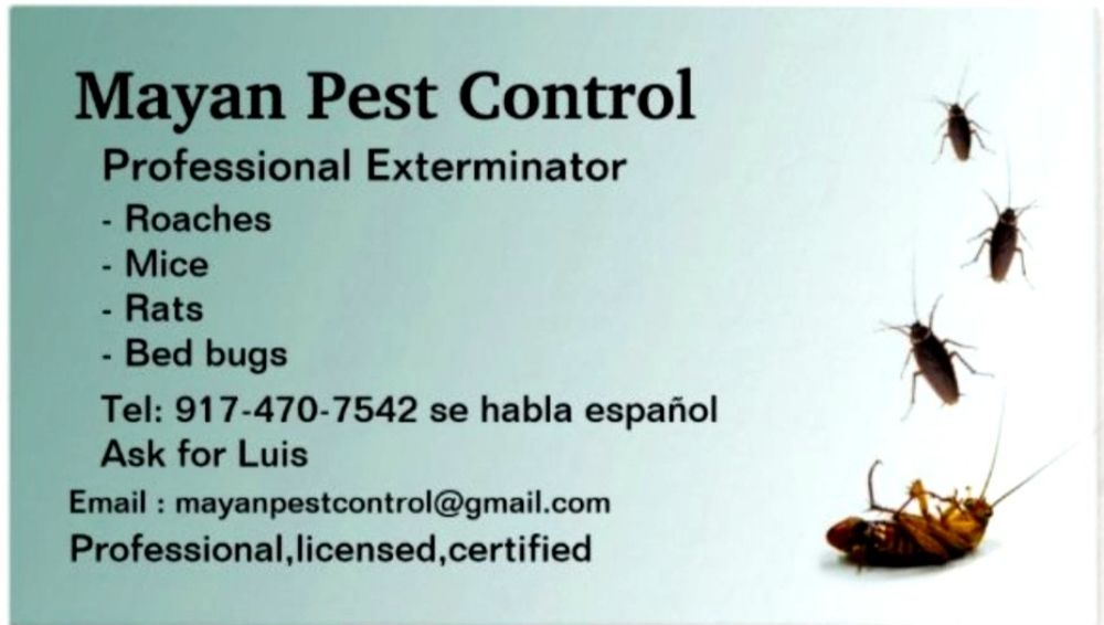 MAYAN PEST CONTROL | Request a Quote | 10 Photos | 517 W 180th St, New ...