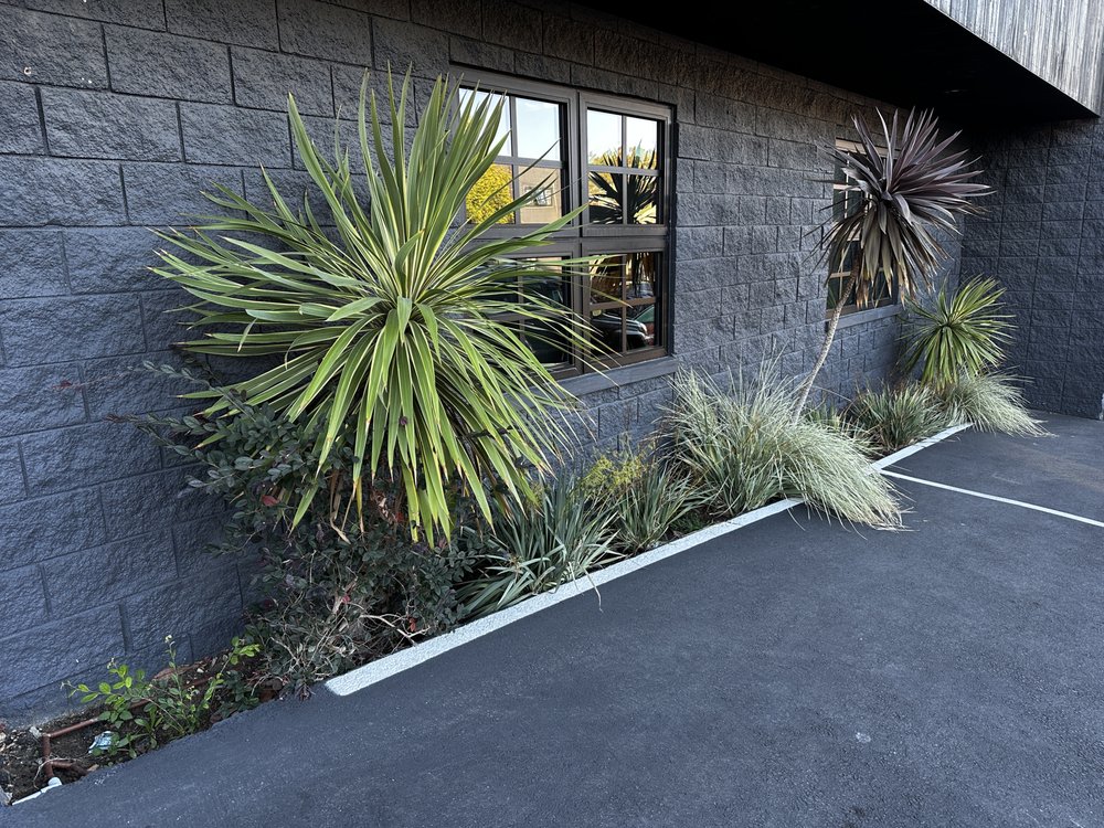 GABRIEL’S TREE SERVICE - Updated December 2025 - 184 Photos & 124 ...