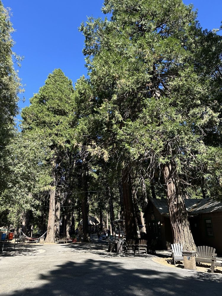 THOUSAND PINES CHRISTIAN CAMP & CONFERENCE CENTER - Updated November ...