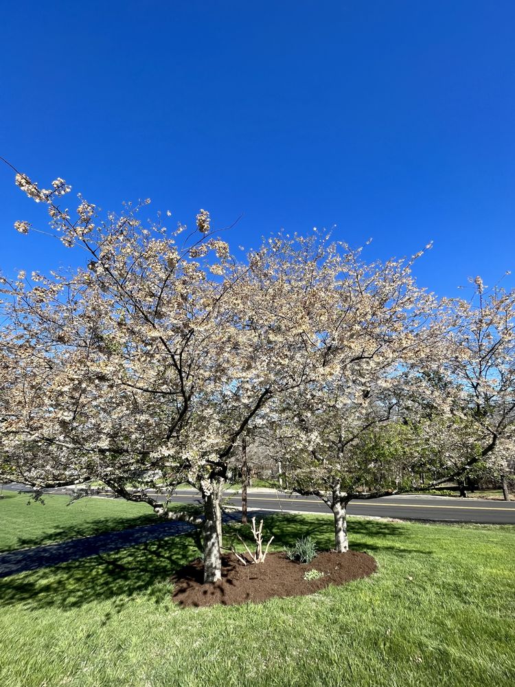 ASHLEY’S LAWNS AND LANDSCAPING - Updated November 2025 - Request a ...