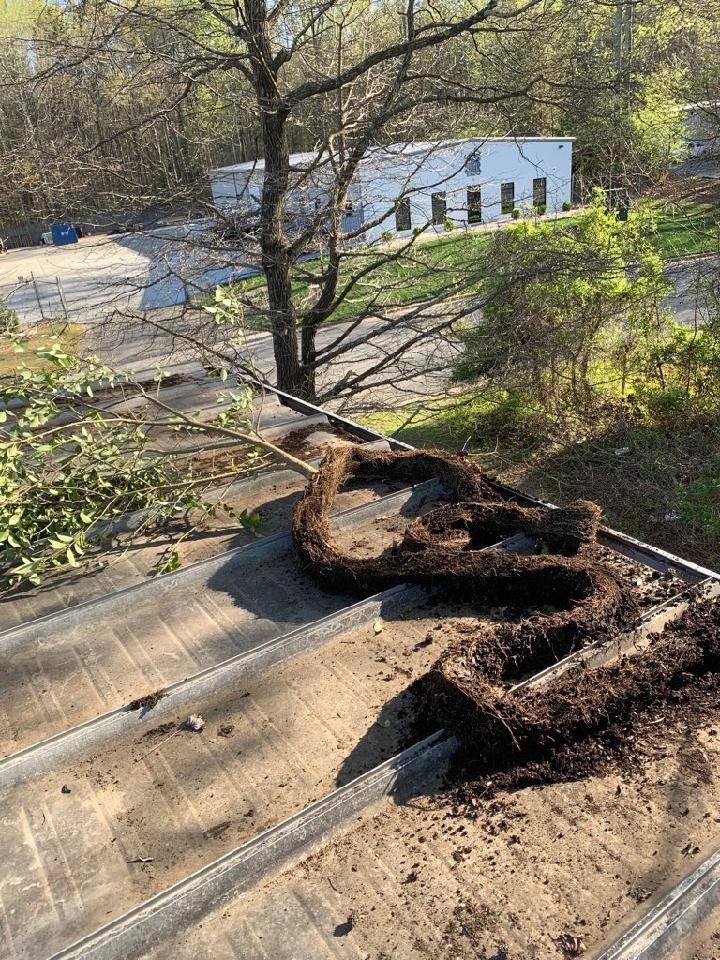 HUNTER WINDOW CLEANING - Updated August 2025 - 3142 Globe Ct, Charlotte ...