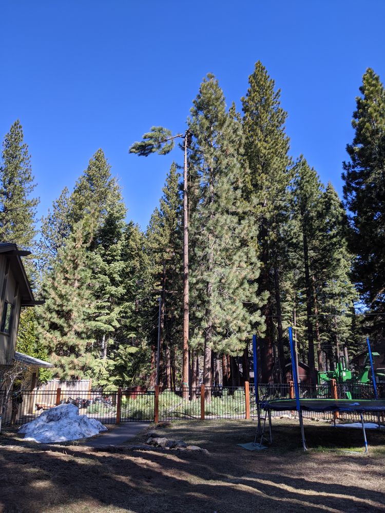 ROCKWOOD TREE SERVICE & DEFENSIBLE SPACE SPECIALISTS - Updated December ...