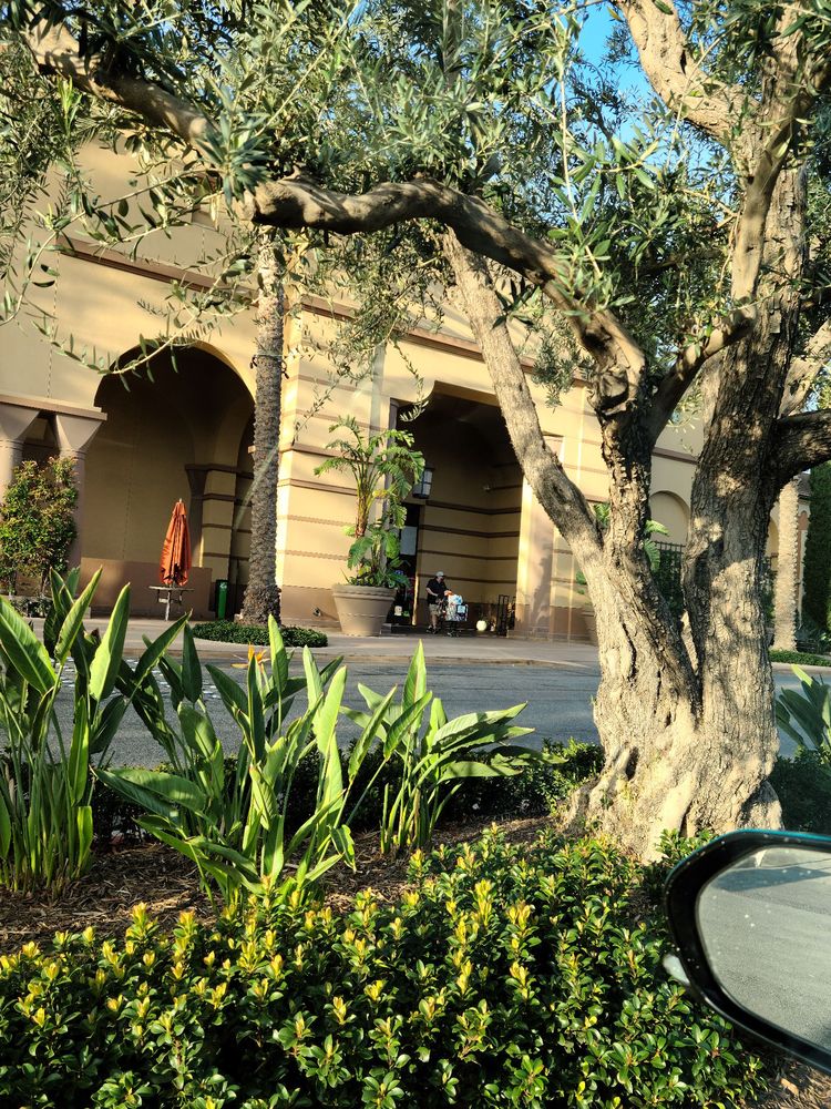 RALPHS FRESH FARE - Updated July 2024 - 151 Photos & 248 Reviews - 6300 ...