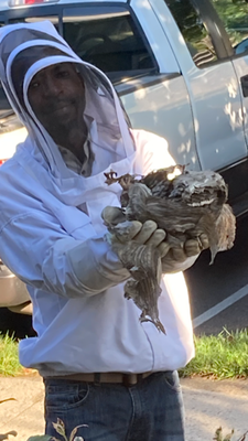 ARTERIX PEST CONTROL - Updated September 2024 - 28 Photos & 185 Reviews ...