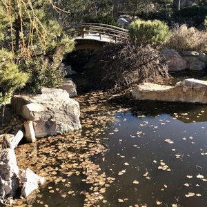 ABQ BIOPARK BOTANIC GARDEN - 888 Photos & 154 Reviews - 2601 Central ...