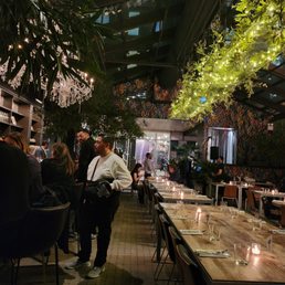 NOMO KITCHEN - Updated November 2024 - 1769 Photos & 800 Reviews - 9 ...