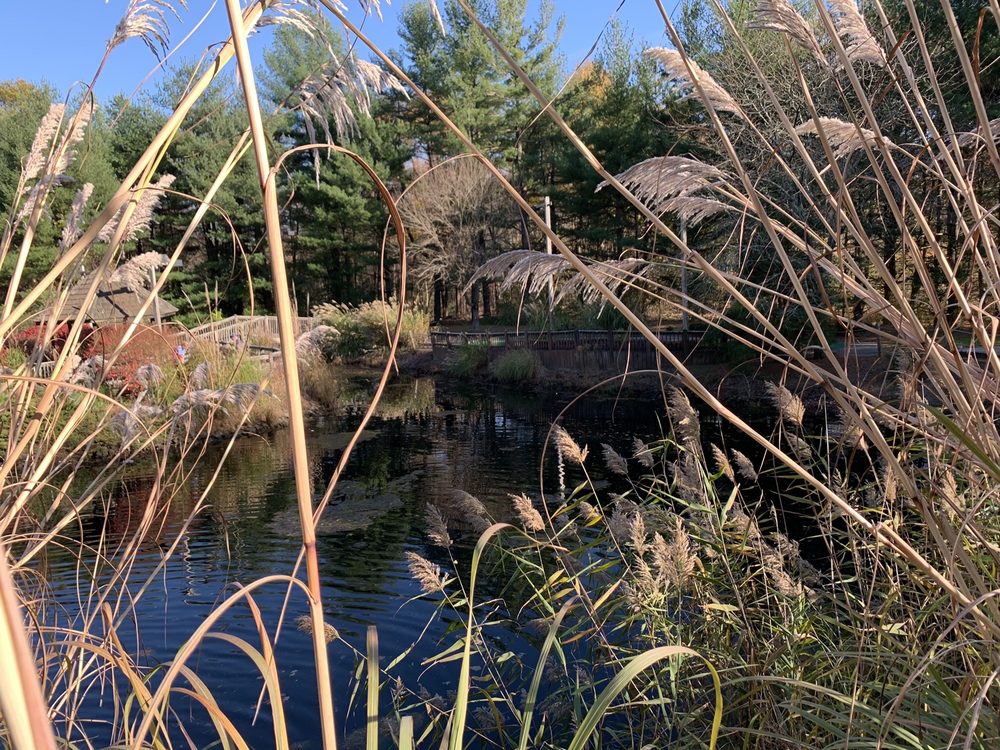 PINE CREEK MINIATURE GOLF - Updated October 2024 - 54 Photos & 63 ...