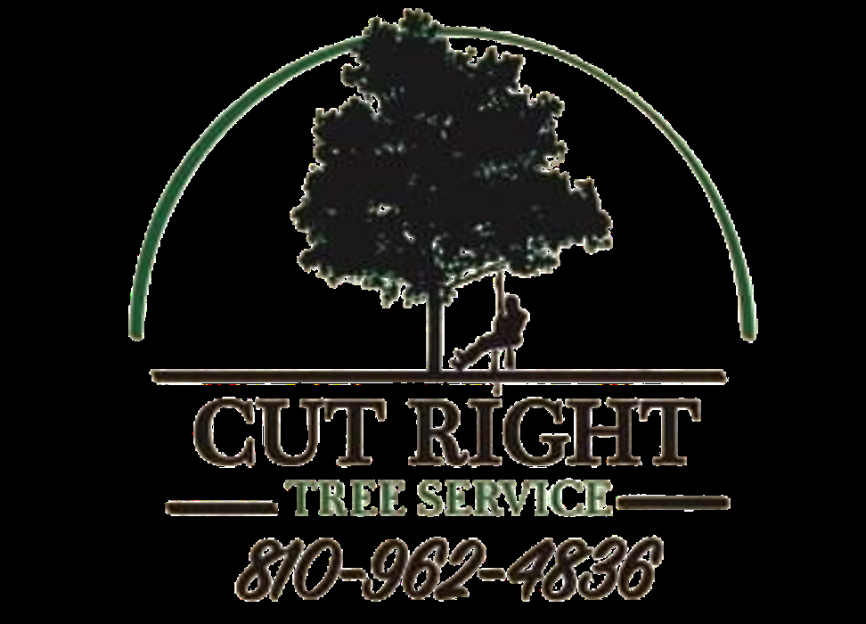 CUT RIGHT TREE SERVICE - Clio, Michigan - Tree Services - Phone Number - Yelp
